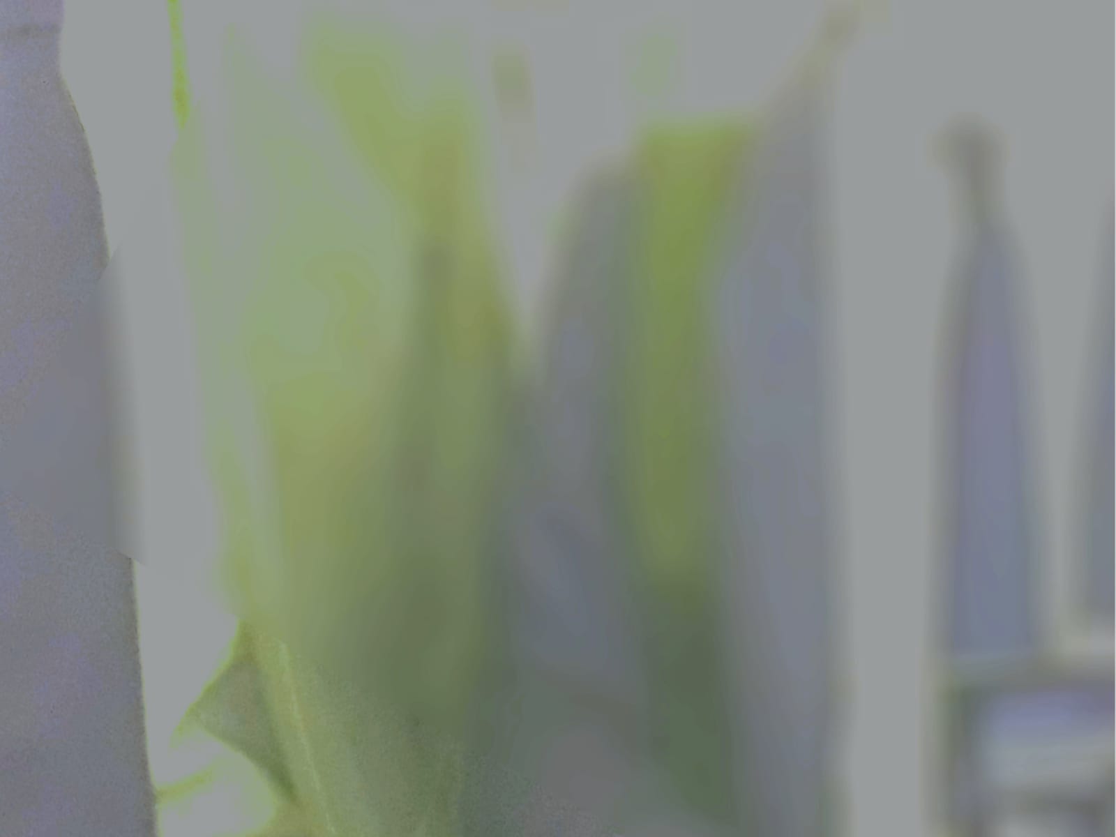 Katrima Berkovitz fotografa Mercalli e il Barone! – Le Cose – music band